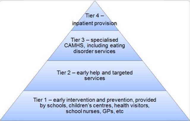 How CAMHS tier system obstructs Autistic young people from accessing ...